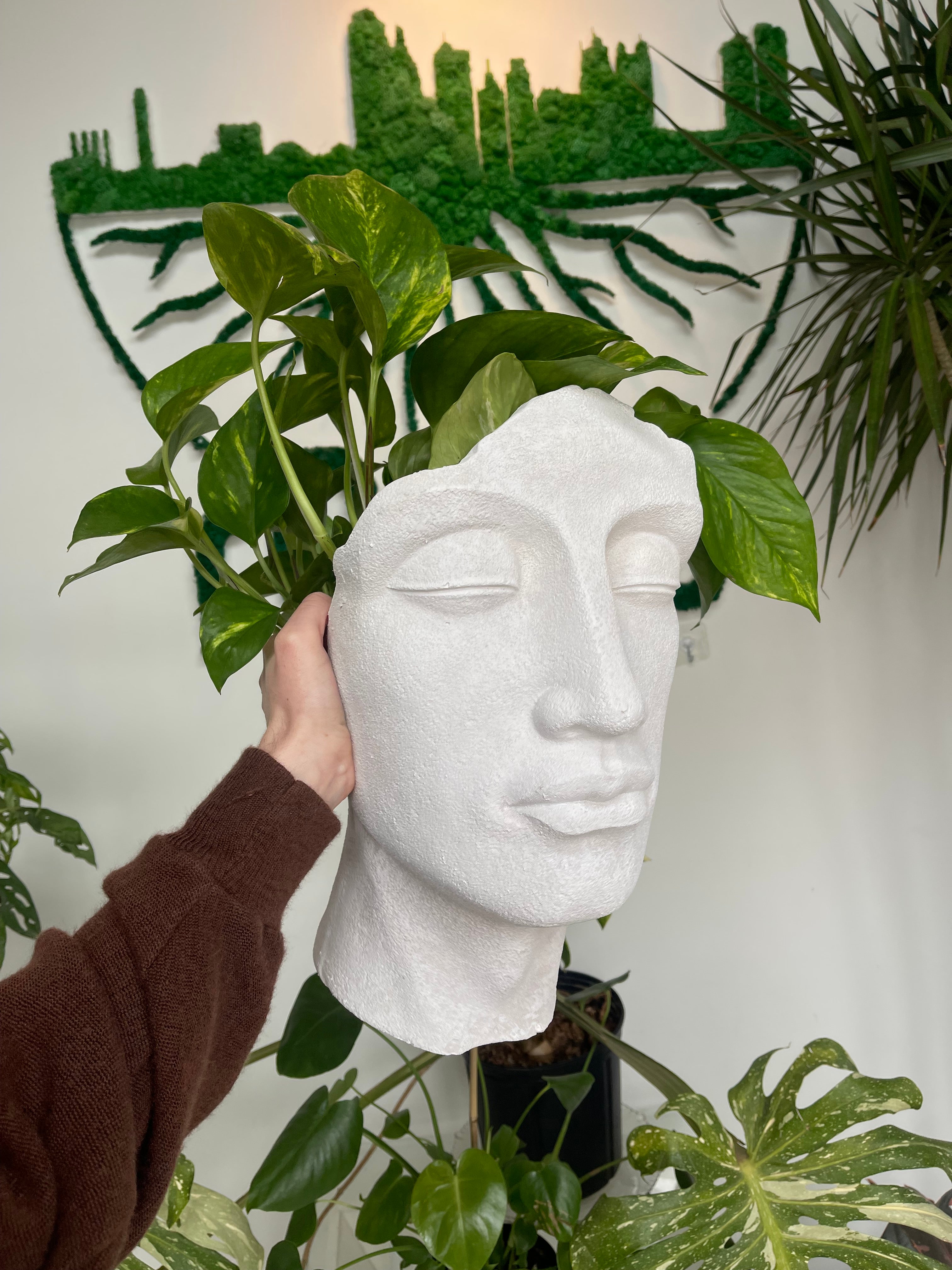 Male Face Pot | rOOTS KC