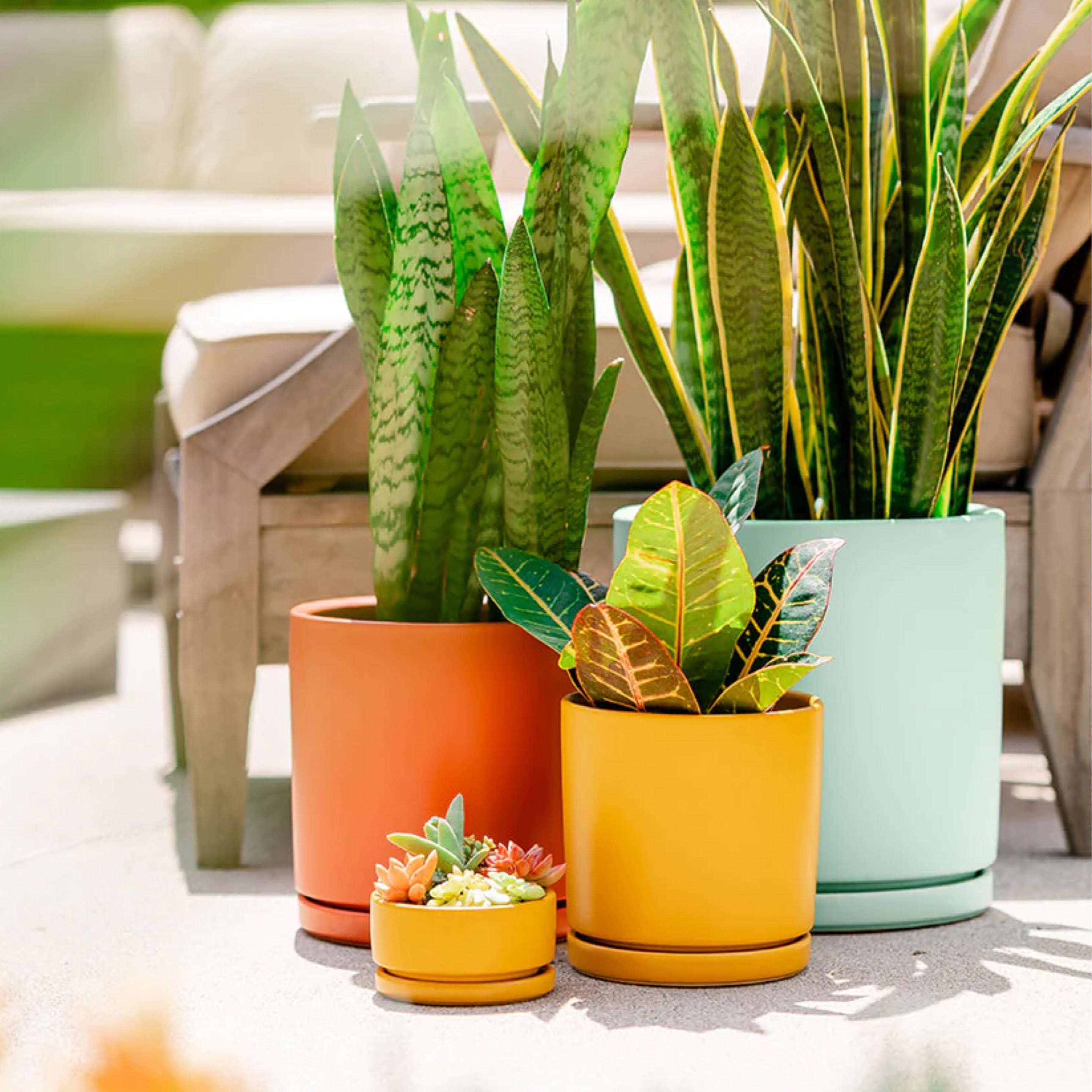 Momma Pot Cylinder | rOOTS KC