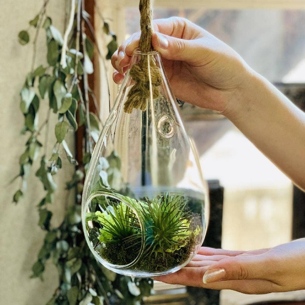 Hanging Glass Drop Vase | rOOTS KC