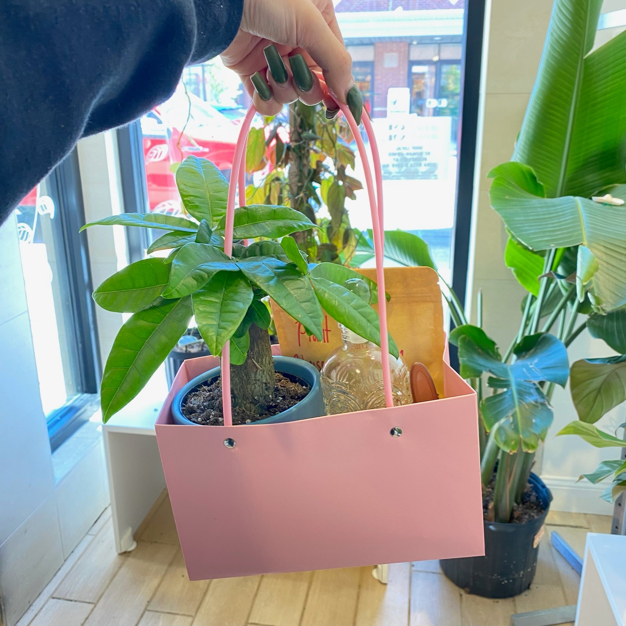 Plant Gift Package | rOOTS KC