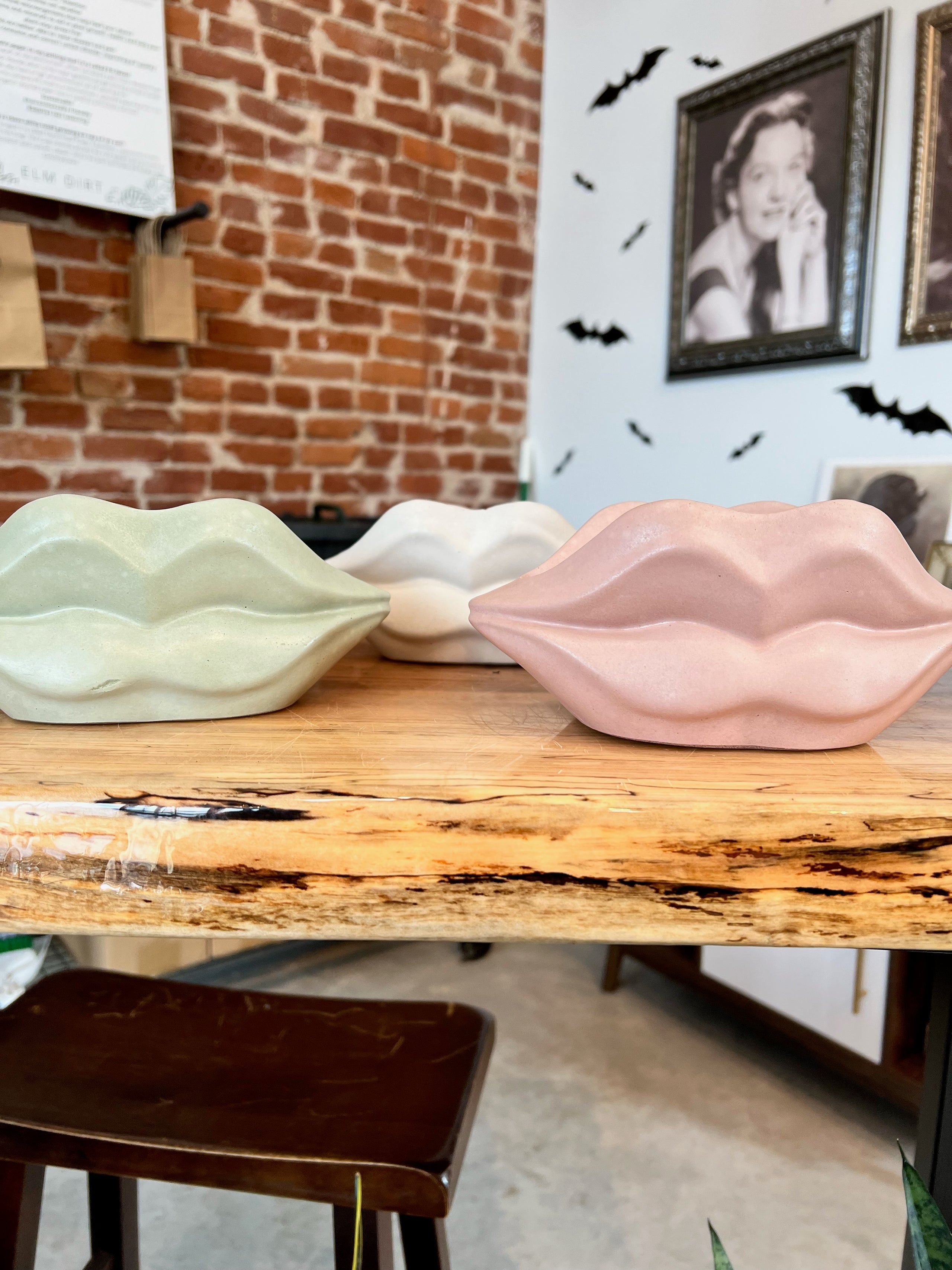 Lip Concrete Planter with drainage | rOOTS KC